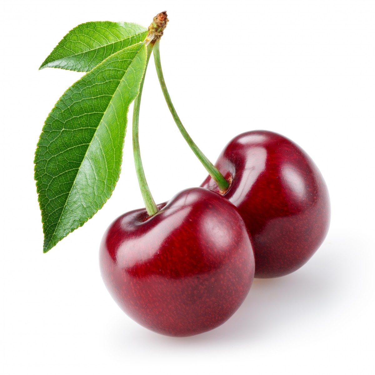 Cherries in Spain | Haifa Group Cherries in Spain | Haifa Group